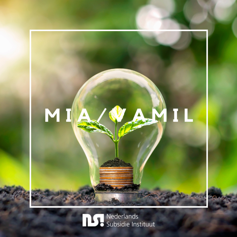 Subsidieregeling Verduurzaming en Onderhoud Huurwoningen - Nederlands ...