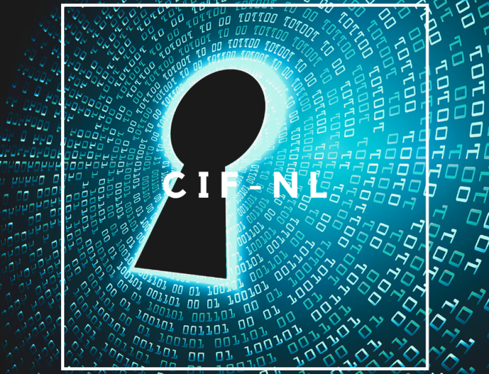 Subsidieregeling praktijkleren in de derde leerweg - Nederlands ...